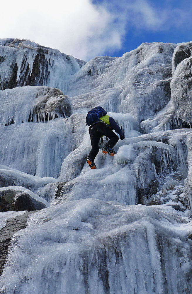 Baxter - Fall 2014 : North East Ice