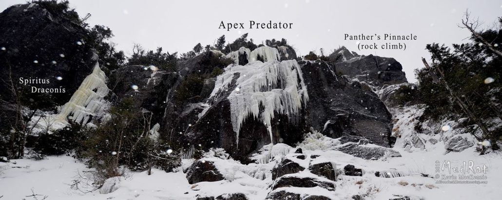 Apex Predator : North East Ice